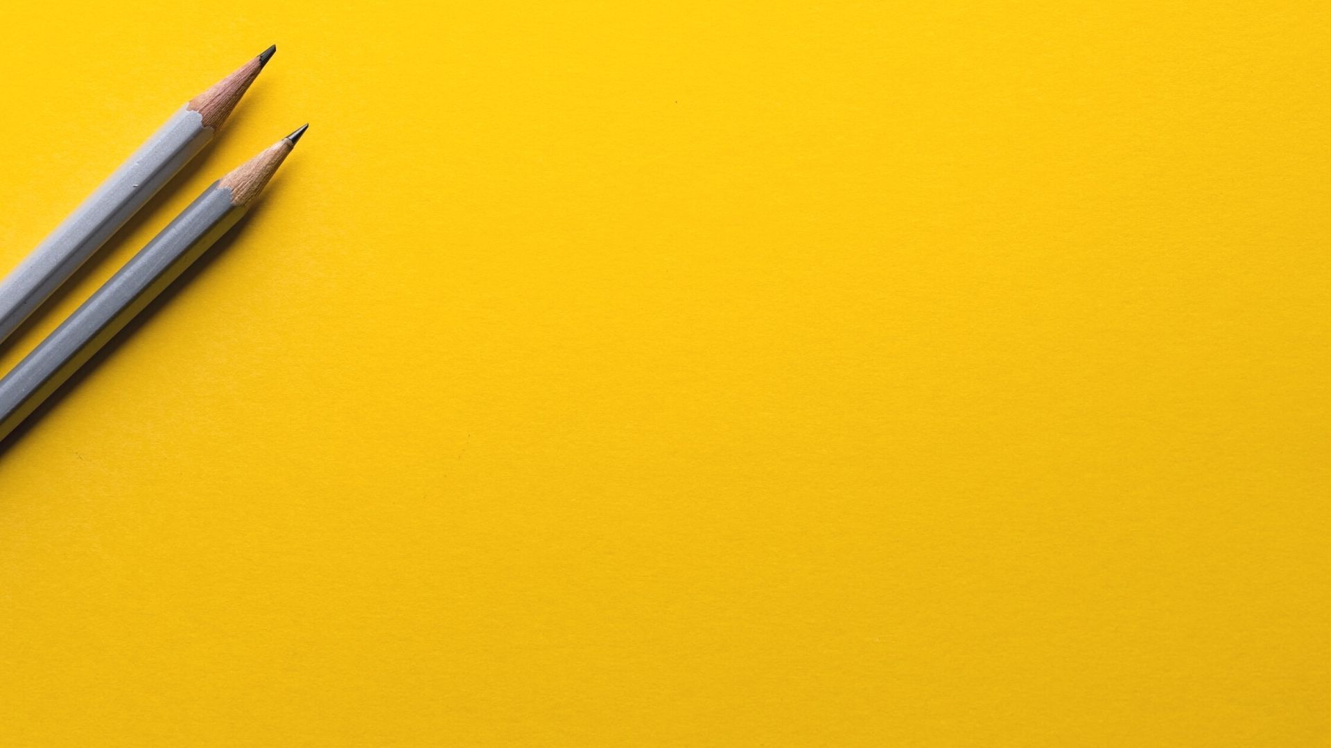 HR Roots – Nurturing the Talent