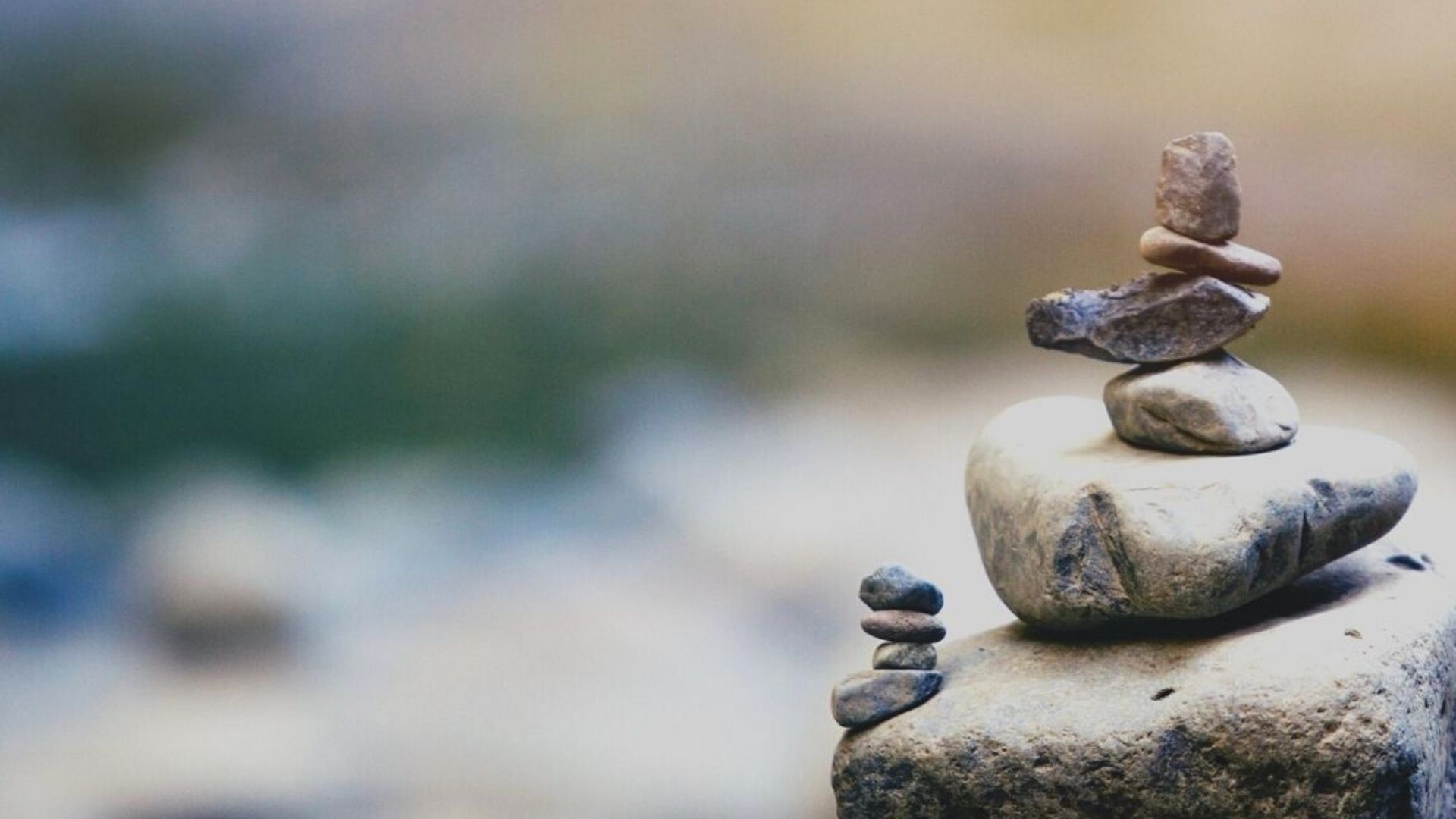 HR Roots – Nurturing the Talent